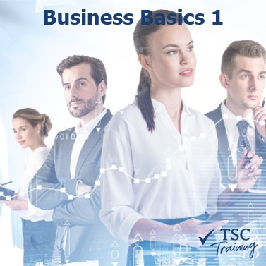 Business Basics 1 Bundle - TSC Group Online Training Course | Workplace ...